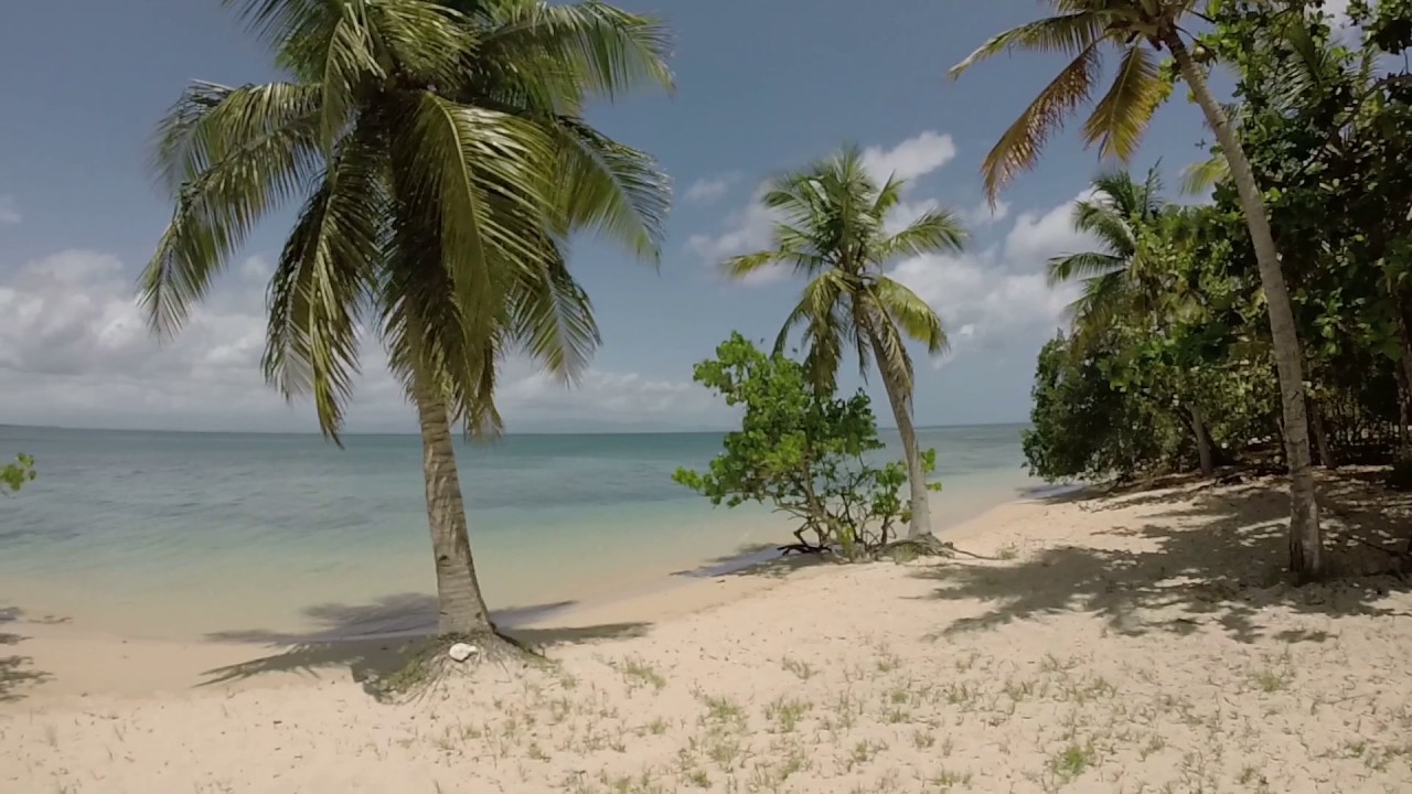 Les meilleurs moments pour visiter la Guadeloupe - Vakans O Peyi ...